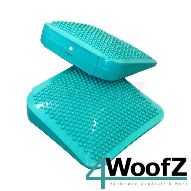 FitPAWS Dog Balance Ramp – 4WoofZ